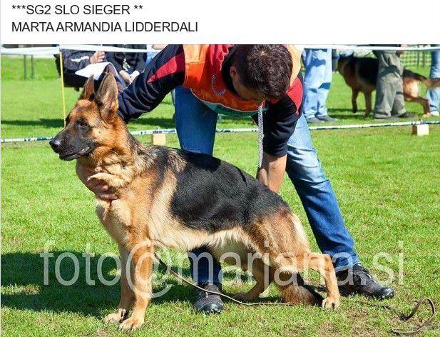Pet Simple DNA
